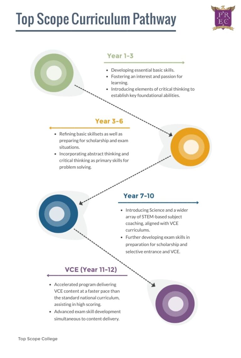 Curriculum - Top Scope