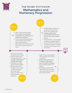 Curriculum - Top Scope